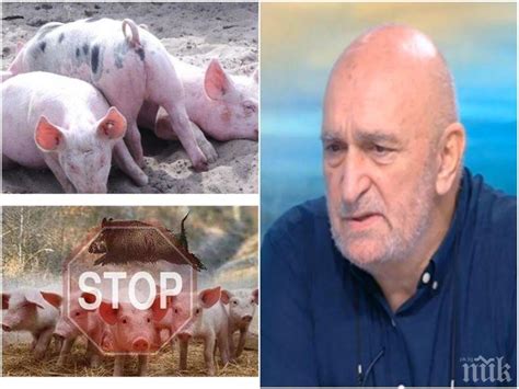 ПРИТЕСНИТЕЛНО Шефът на БАБХ д р Дамян Илиев разкри за страшна опасност надвиснала над България