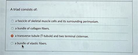 A Triad Consists Of A Fascicle Of Skeletal Muscle Cells And Its Surrounding Perimysium A Bundle