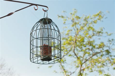 春天的时候鸟笼挂在花园里高清图片下载 正版图片504758952 摄图网
