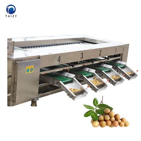 Multifunctional Apple Sorting Machine Peach Fruit Grading Machines