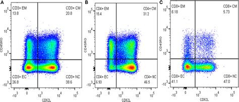Gating Memory T Cells On Different Cell Types A Gated On Cd3 Download Scientific Diagram