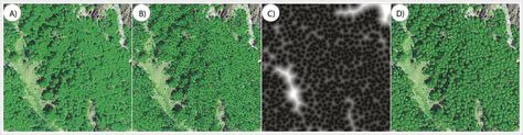 Forest Condition Monitoring Using Very High Resolution Satellite