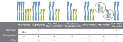 SNP Arrays Haematological Malignancy Diagnostic Service