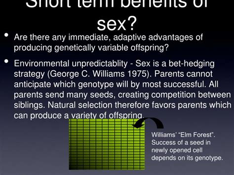PPT What Is Sex PowerPoint Presentation ID
