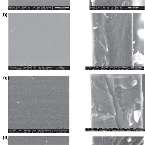 Scanning Electron Microscopy Sem Micrographs Of Surface ×600 And Download Scientific
