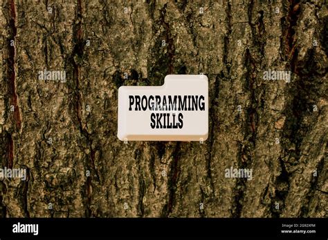 Text Caption Presenting Programming Skills Concept Meaning Skills