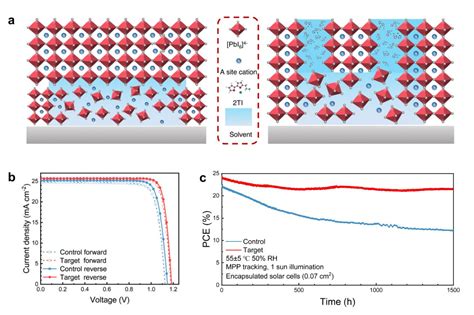 武汉量子技术研究院