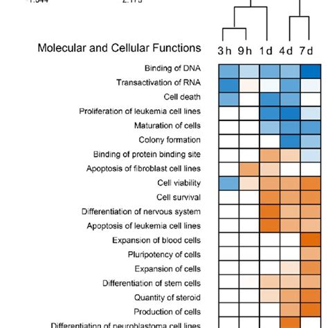 Hierarchical Clustering Of The Enriched Molecular And Cellular Download Scientific Diagram