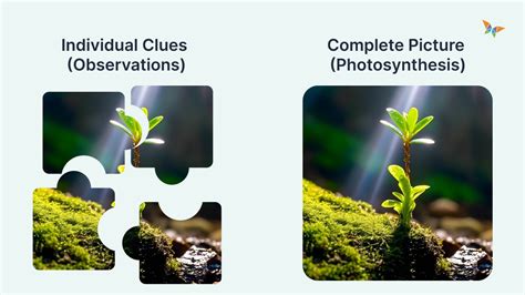 Inductive Method Of Teaching Explained Simply For Teachers