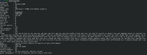 Read Cpu Flags From Cpuinfo Delft Stack