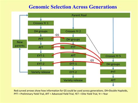 Genomic Selection In Plants Pptx Genetics Science
