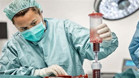 33 Facts About Stem Cell Transplant