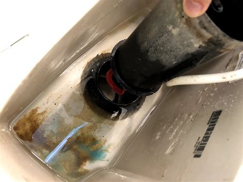 How To Get Water Back In Toilet Tank At Joyce Hartmann Blog