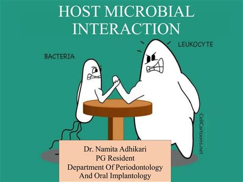Host Microbial Interaction And Toll Like Receptors Ppt