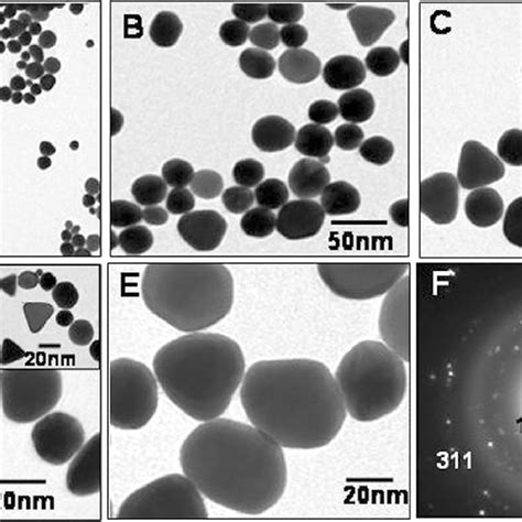 Tem Micrographs Of Gold Nanoparticles Synthesized By Reacting 1 Mm 10