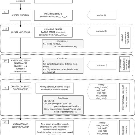 Steps Of Modelling The Modelling Process Is Divided Into Six Blocks Download Scientific