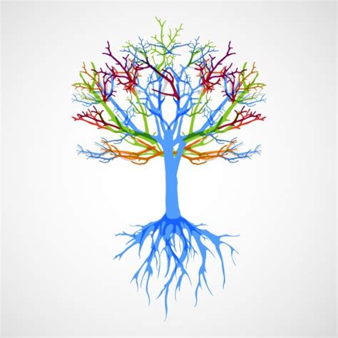 Parsnip Tree Plant With Roots Royalty Free Vector Image