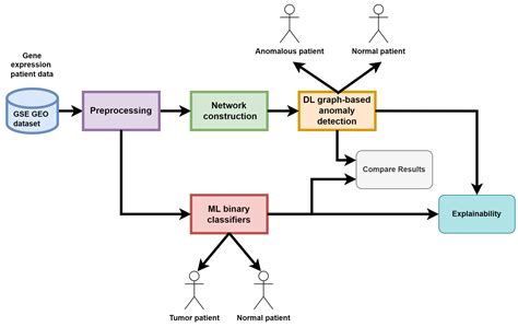 anomaly detection in individual specific networks through explainable