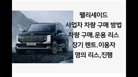 팰리세이드 9인승 차량의 사업자 구매 방법 자동차 금융 설명차량 구매장기 렌트운용 리스이용자 명의 리스진행 Youtube