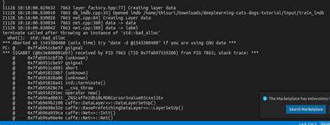 classification caffe terminate called after throwing an instance of std bad alloc while