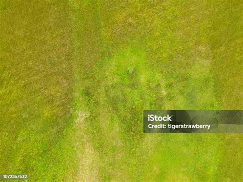 녹색 잔디 텍스처입니다 공중 녹색 잔디 잔디입니다 축구 또는 축구 필드 배경 골프 녹지 자연 피치 위에서 평면 정원입니다 0명에 대한 스톡 사진 및 기타 이미지 Istock