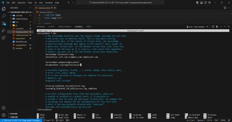 Serversetup Webhosting Dns Sharedhosting Webdevelopment
