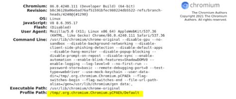 Roboframework Seleniumlibrary Set Specific User Profile Path For Chrome