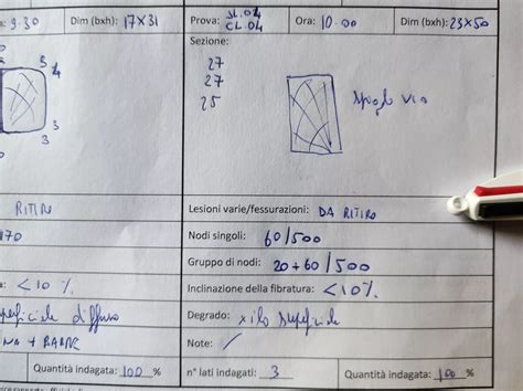 Visual Grading Of Timber Elements In Service Expin Srl