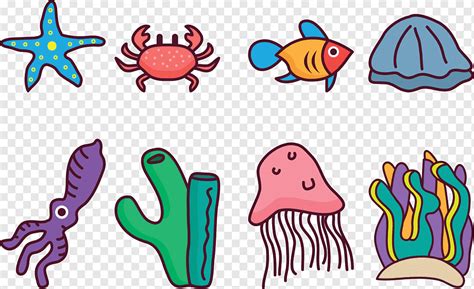 산호초와 바다 생물 Png Pngwing