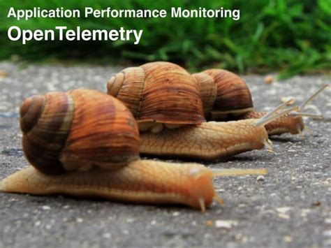 Application Performance Monitoring With Opentelemetry Ppt