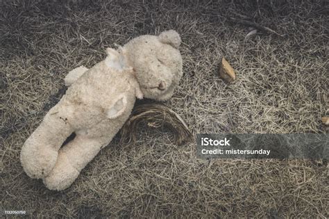 오래 된 더러운 곰 인형은 풀에 버려진 외로운과 슬픈 개념 텍스트에 대 한 복사 공간 0명에 대한 스톡 사진 및 기타 이미지 Istock
