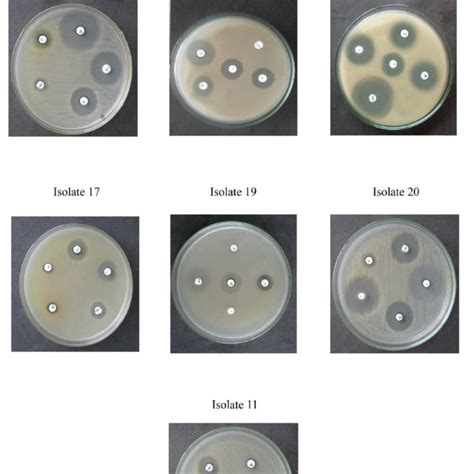Screening Of Biosurfactant Producing Bacteria Download Scientific Diagram