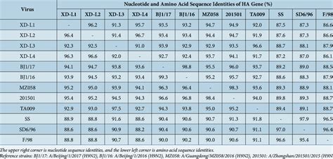 Nucleotide And Amino Acid Sequence Identities Of Ha Gene Download