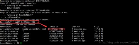 Docker实践 六 ：创建本地镜像 Commit、dockerfile Docker Commit Tar Csdn博客