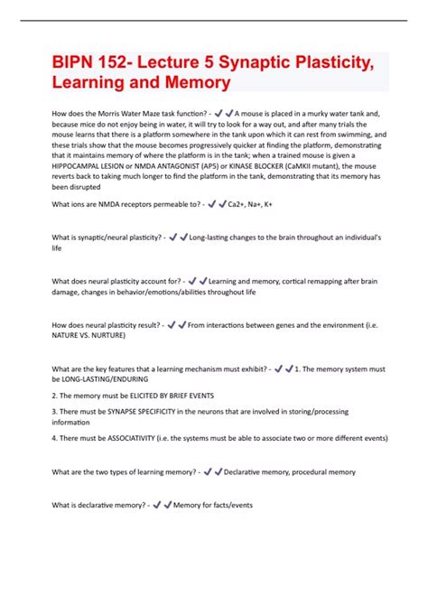 Bipn 152 Lecture 5 Synaptic Plasticity Learning And Memory Questions And Answers With Latest