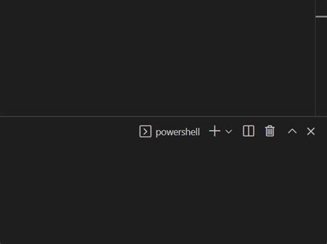 How To Restore The Maximize Panel Terminal Button It Disappears With Default Profile Rvscode