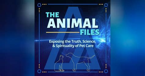 Exposed Controversy The Real Cost Of Fake Service Dogs The Animal