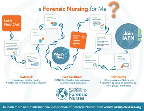 Forensic Nursing Path International Association Of Forensic Nurses
