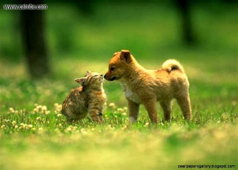 December 2015 Wallpapers Gallery