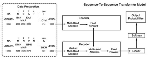 Process Of Sequence To Sequence Transformer Model S2STM The