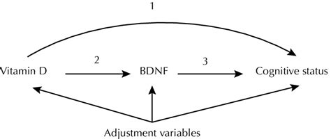 Directed Acyclic Graph Including The Variables Studied 1 Direct