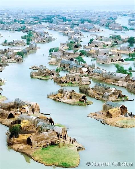 Ma Dan Marsh Arabs Artofit