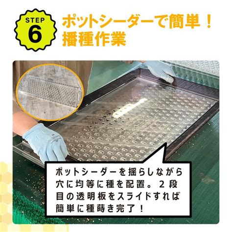 播種5点セット Cp300 1粒ll 大 チェーンポット用 展開串 土詰ブラシ 展開枠 ポットプレート ポットシーダー 播種セット 種まき