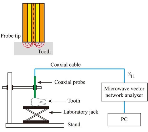 Schematic Diagram Of The Set Up For Permittivity Measurement Of A Tooth