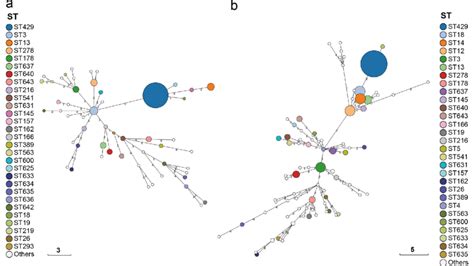 the minimum spanning trees mst of yersinia enterocolitica isolates