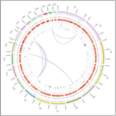 Fungal Genome Sequencing De Novo Assembly Annotation At ₹ 5500sample In Bengaluru Id 23079994533