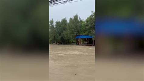 Huge Python Glides Through Flood Covering Road In Eastern Thailand