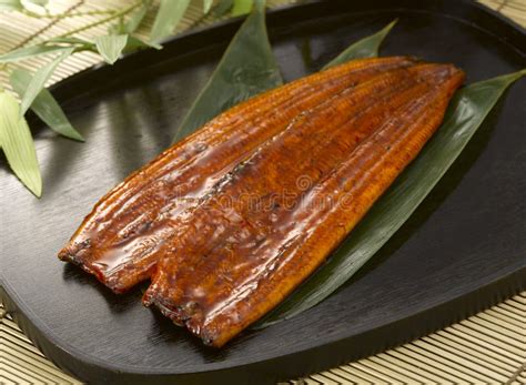 Unagi Eel Stock Photo Image Of Freshwater Japanese