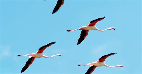How To Unlock Your Business Potential By Migrating From Sap To