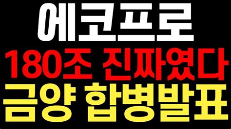 에코프로 180조 진짜였다 금양 합병발표 에코프로주가전망 에코프로전망 에코프로주가 에코프로 에코프로비엠주가전망 에코프로비엠 에코프로비엠전망 에코프로비엠